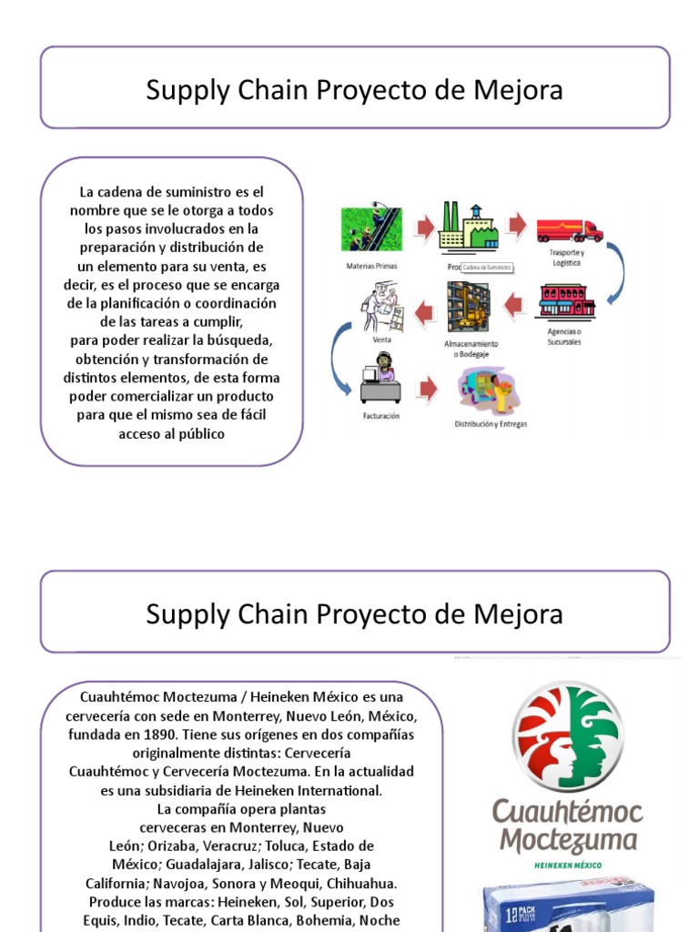 Supply Chain | PDF | Business | Informática y tecnología de la información