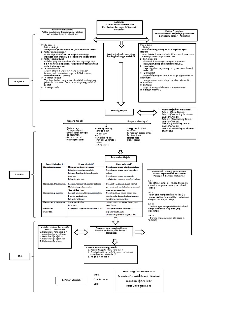 Pathway LP Halusinasi | PDF