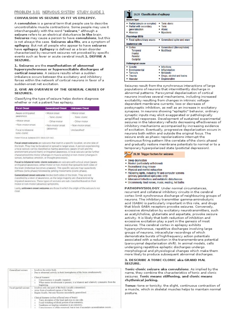 Problem 3.01 Nervous System Study Guide 1 | PDF | Epilepsy ...