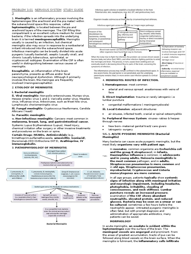 Problem 3.01 Nervous System Study Guide 3 | PDF | Meningitis | Medicine