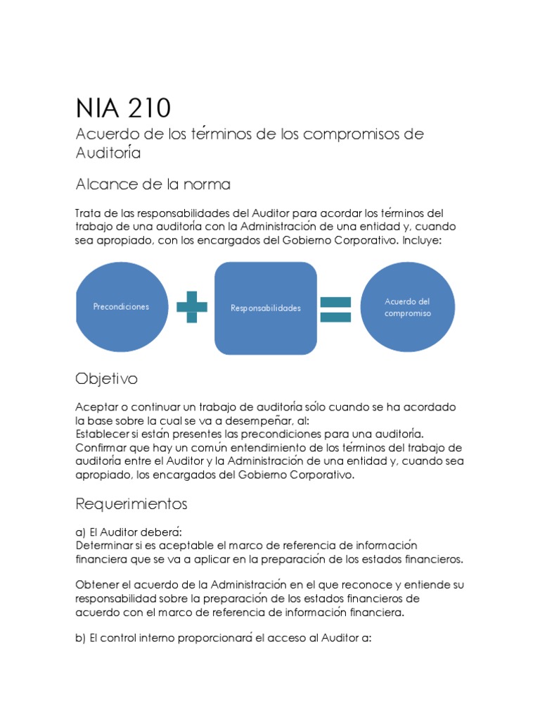 Nia 210 Ejercicio | PDF | Contralor | Auditoría