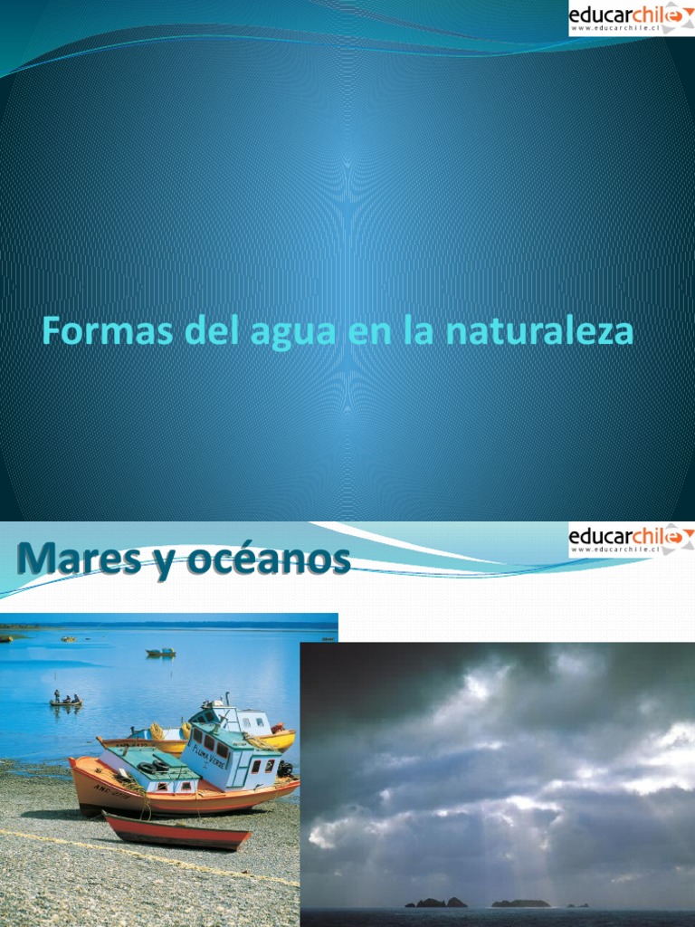Formas Del Agua en La Naturaleza | PDF