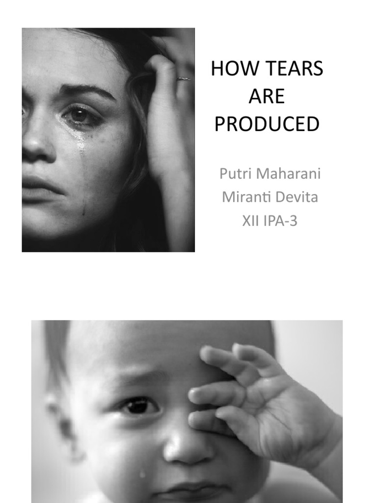 How Tears Are Produced | PDF