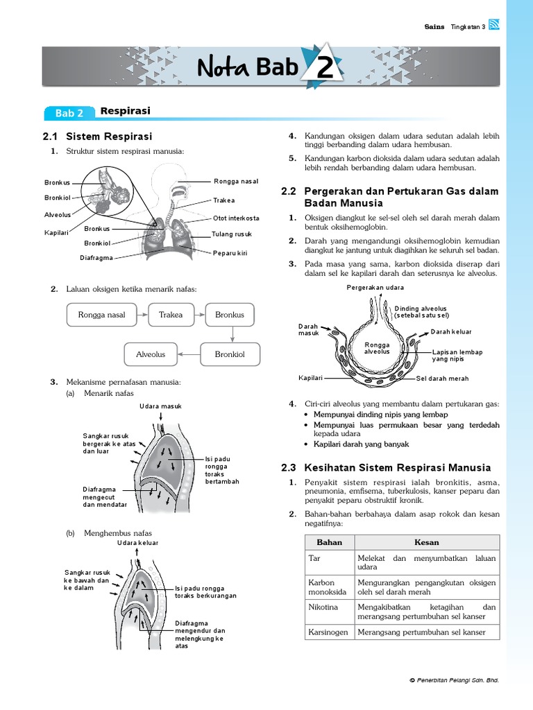 Nota Bab 2 PDF | PDF