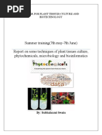 DNeasy Plant Mini Kit Protocol Written by Word Program | PDF