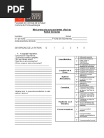 Mississippi Aphasia Screening Test (ESPAÑOL) | PDF