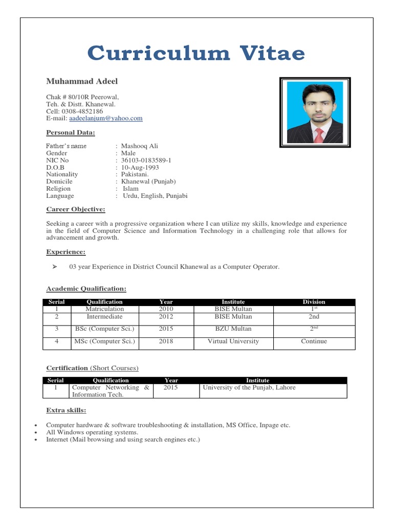 CV Format 2020 | PDF | Computers