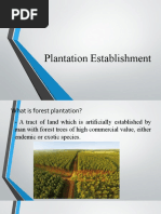 Basics of Forestry | PDF