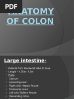 Functions and Composition of Succus Entericus | PDF | Digestive System ...