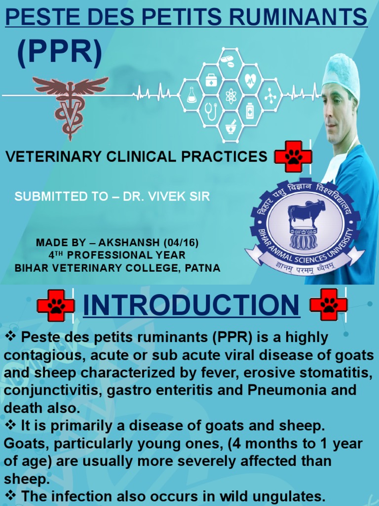 Veterinary Clinical Practices: Submitted To - Dr. Vivek Sir | PDF ...
