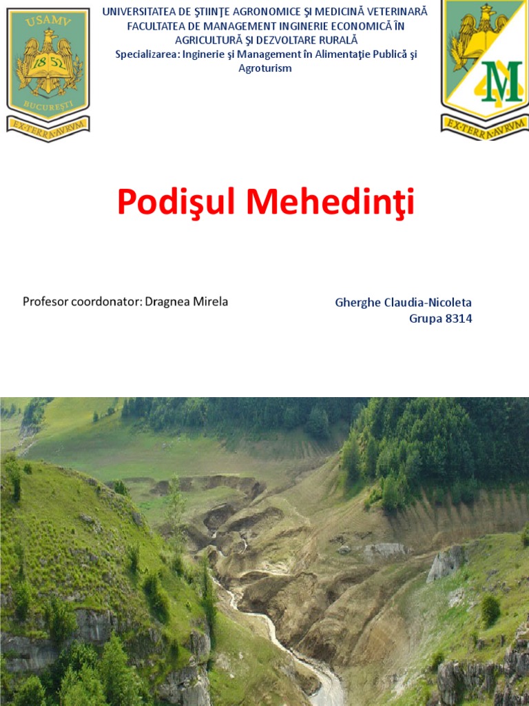 Podisul Mehedinti | PDF