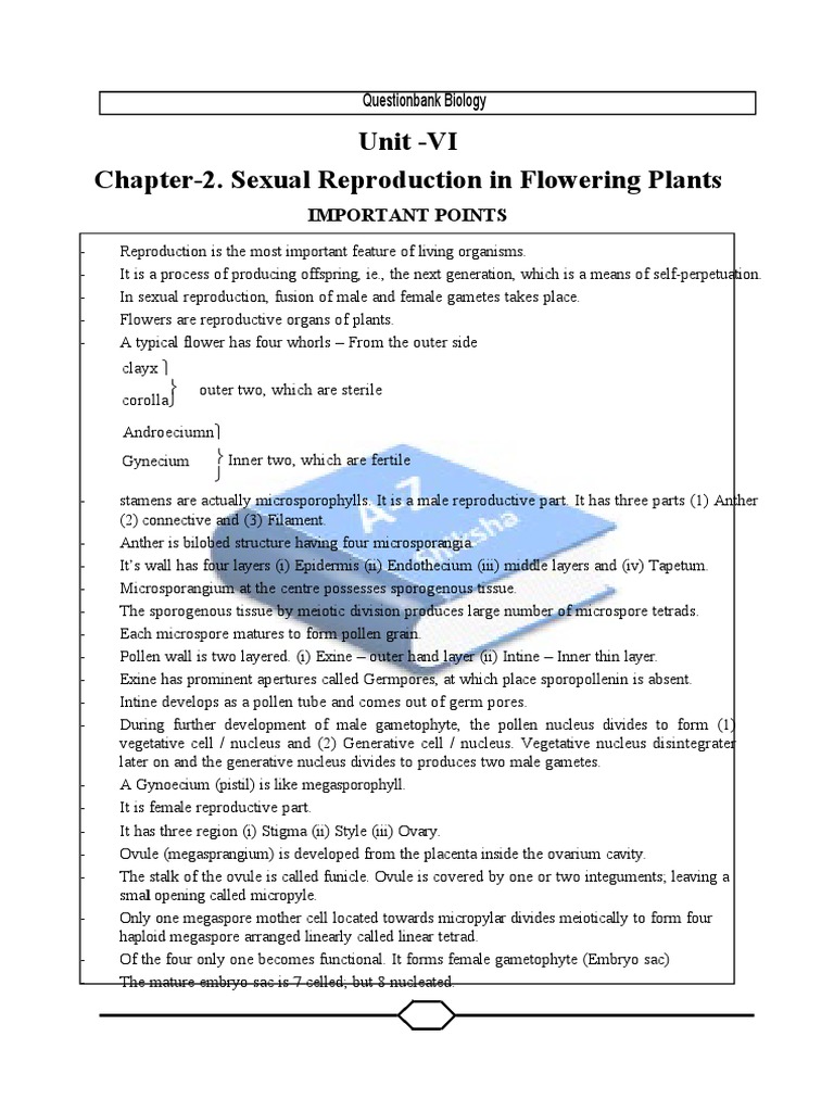Sexual Reproduction in Flowering Plants | PDF | Fertilisation | Seed