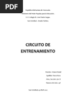 Circuitos de Entrenamiento | PDF | Entrenamiento de circuito | Dolor lumbar