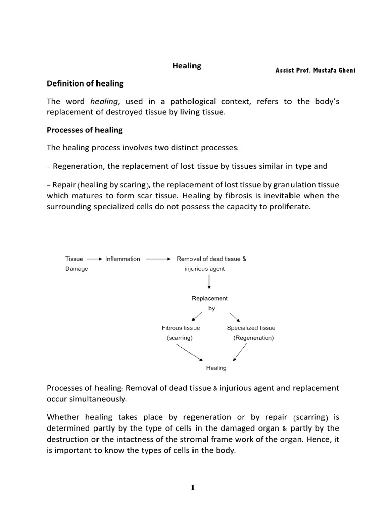 Healing Definition of Healing: Assist Prof. Mustafa Gheni | PDF | Wound ...