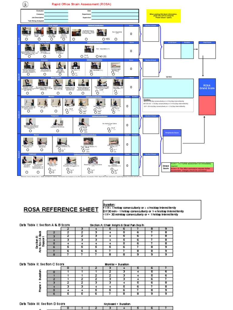 Rosa Excel | PDF | Chair