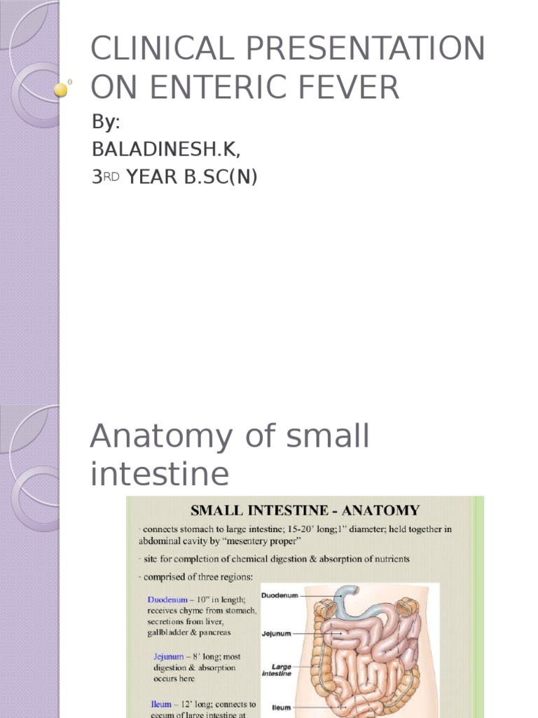 Clinical Presentation On Enteric Fever | PDF