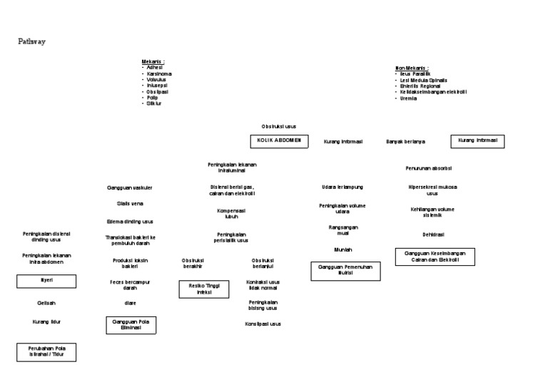 Pathway Colic Abdomen | PDF