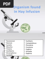 Hay Infusion Preparation and Procedure | PDF | Bacteria | Water
