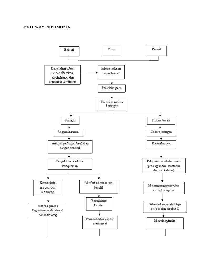 Pathway Pneumonia dan Patofisiologinya | PDF
