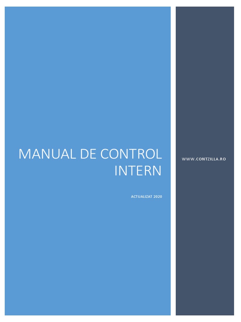 Manual de Control Intern - 2020 PDF | PDF
