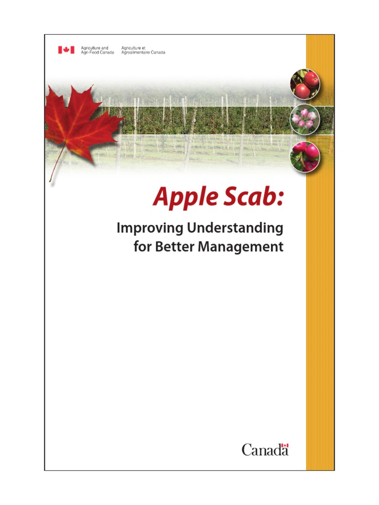 Apple Scab: Improving Understanding For Better Management | PDF | Fungicide | Fungus