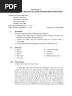 Onion vs Cheek Cell Comparison | PDF | Cell (Biology) | Vacuole