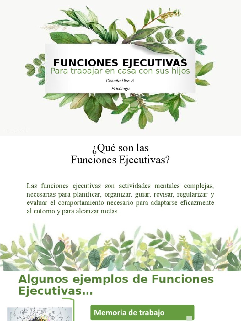 Funciones Ejecutivas 1 | PDF | Funciones ejecutivas | Memoria