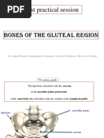 Comprehensive List of 206 Human Bones | PDF | Vertebra | Hand