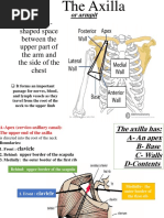 The Axilla Region - Borders - Contents - TeachMeAnatomy | PDF | Arm ...