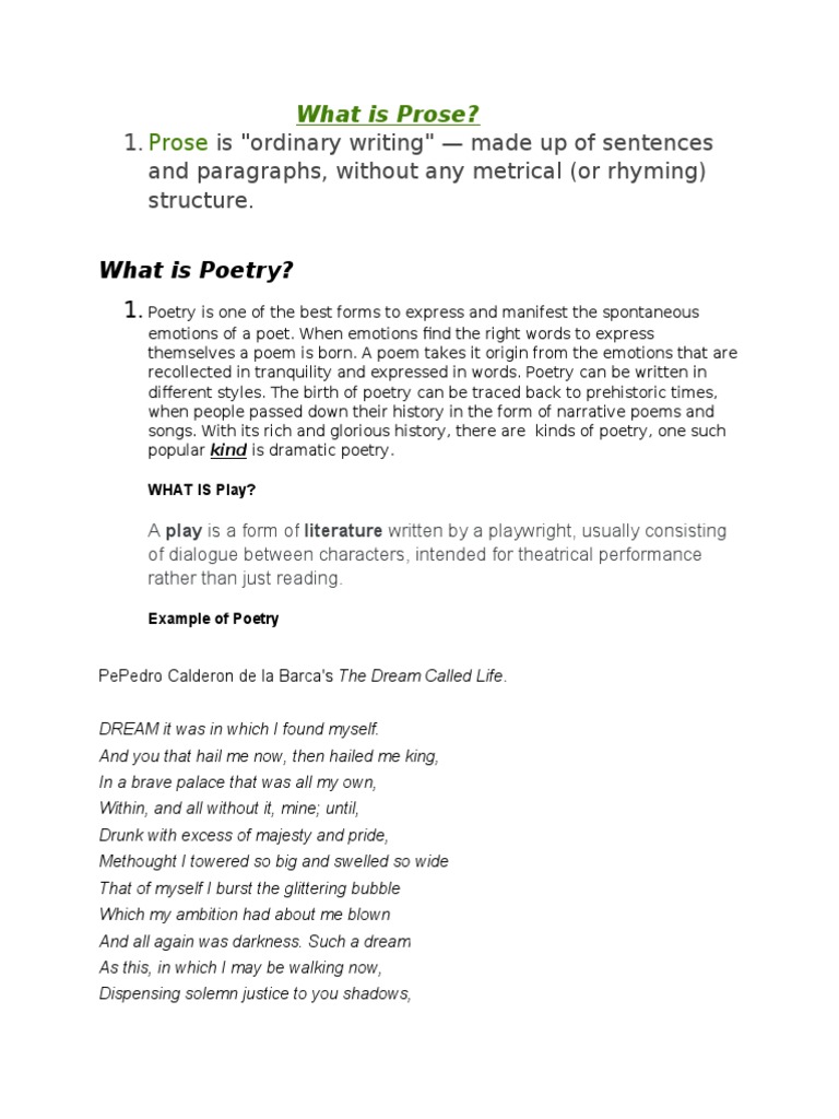 Sheldon Project English | PDF | Poetry | Writing