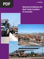 Efficient Feedlot Design and Layout Guide | PDF | Road | Cattle