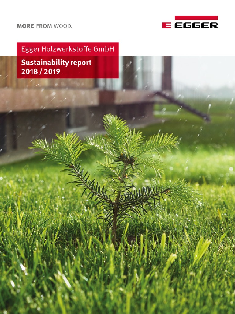 BR EGGER Sustainability Report EN | PDF | Sustainability | Regulatory Compliance