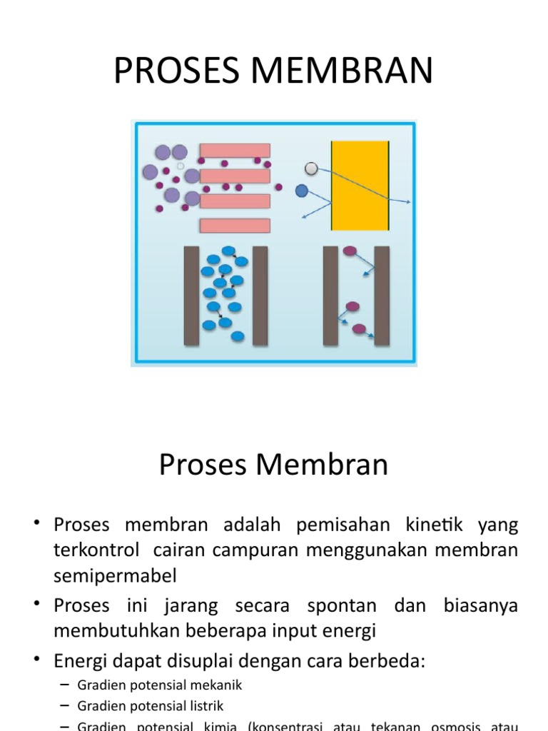 Proses Membran | PDF | Teknologi & Rekayasa