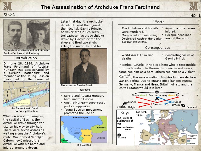 Effects: The Assassination of Archduke Franz Ferdinand | PDF | Austria ...