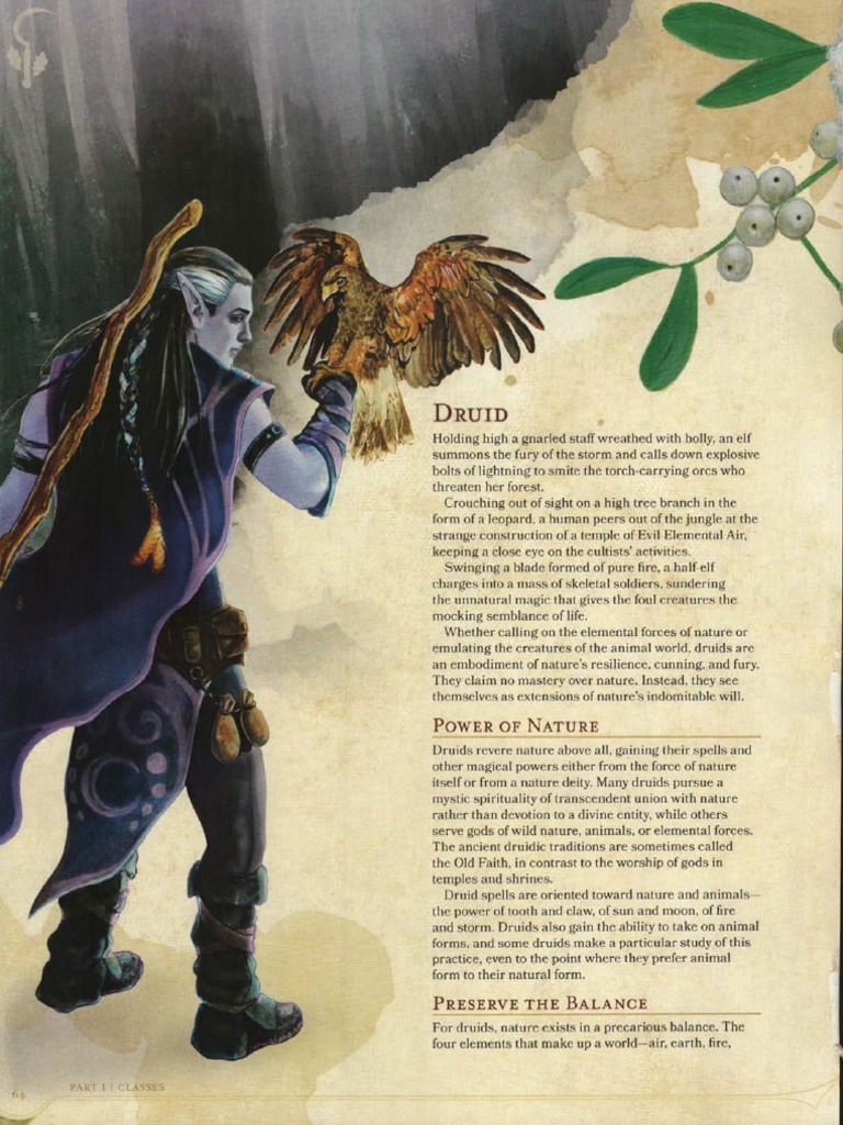 Druid: Power of Nature | PDF
