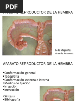 Fisiologia Del Gallo | PDF | Testículo | Pene