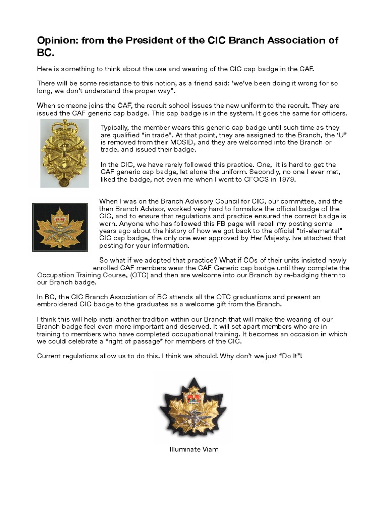 CAF CIC Badge Wearing | PDF | Dress Codes | Uniforms