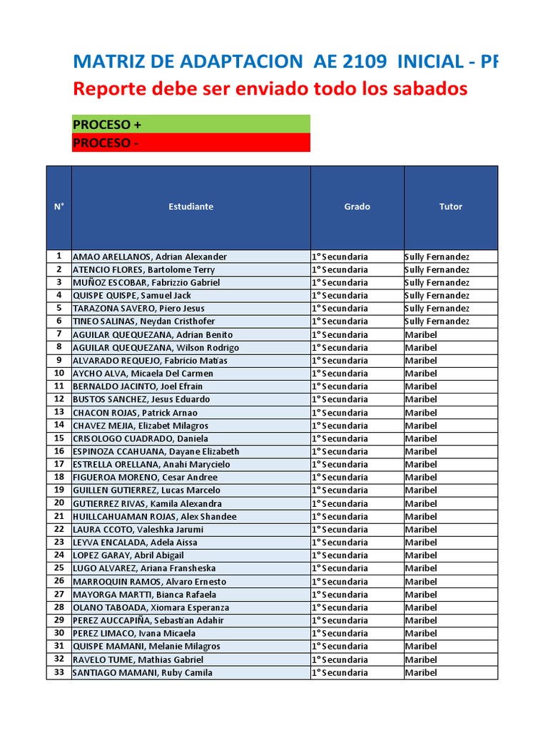 MATRIZ DE ADAPTACIÓN DURAZNOS-modificado | PDF