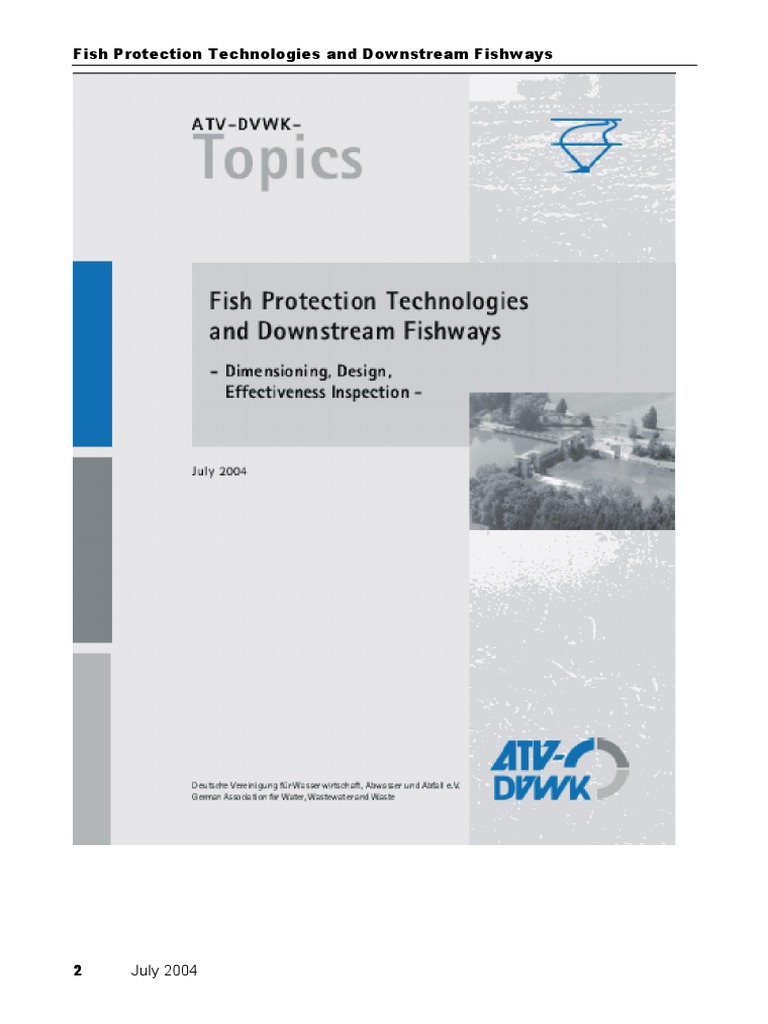 Fish Protection Technologies and Downstream Fishways | PDF | River ...