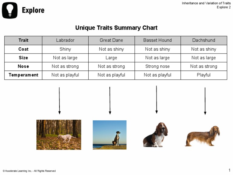 Ngss 3 Inheritanceandvariationoftraits Explore 2engineering ...
