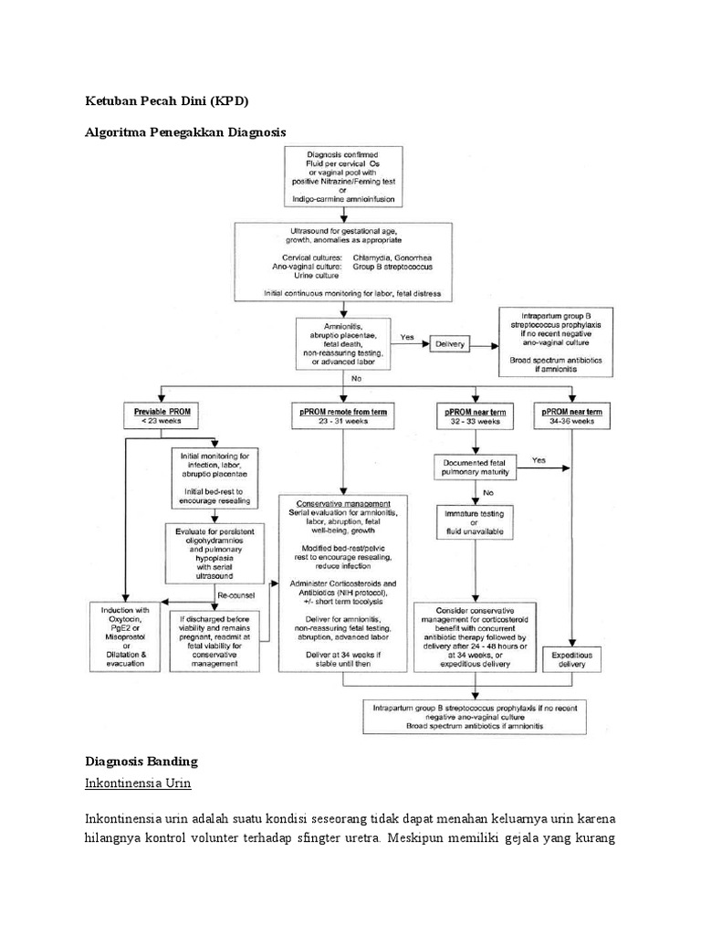 Ketuban Pecah Dini (KPD) Algoritma Penegakkan Diagnosis | PDF | Pengembangan Diri | Kesehatan ...