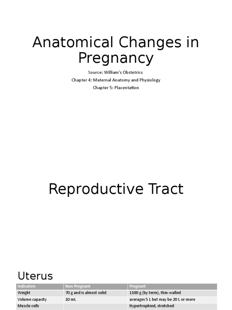 Maternal Anatomical Changes in Pregnancy | PDF | Anatomy | Human ...