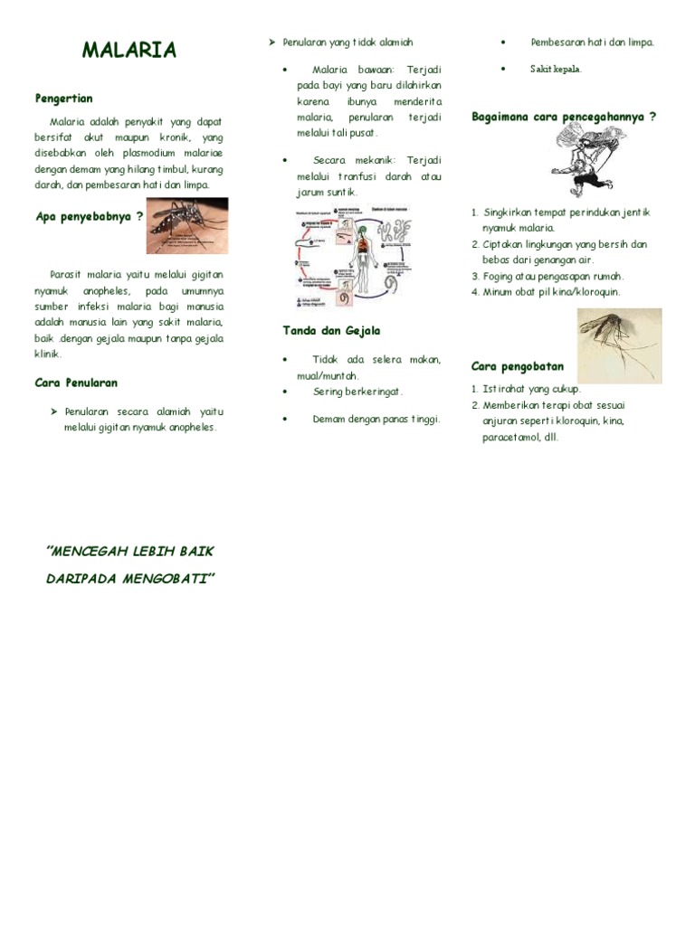 Leaflet Malaria | PDF