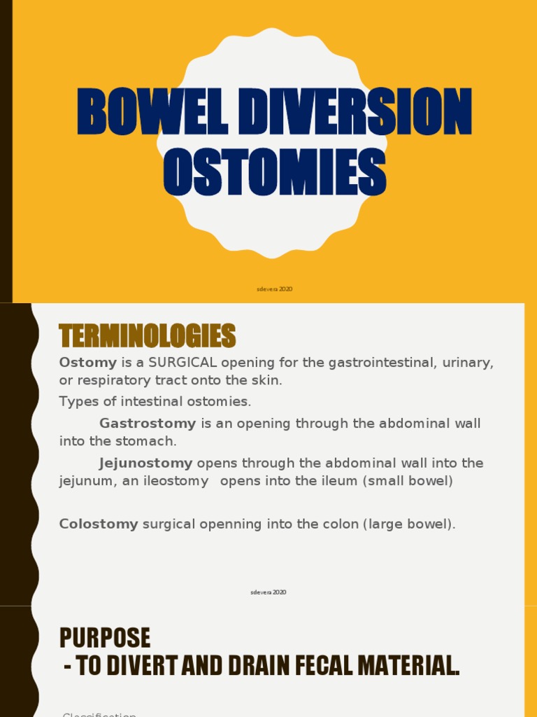 Bowel Diversion Ostomies | PDF | Gastrointestinal Tract | Large Intestine