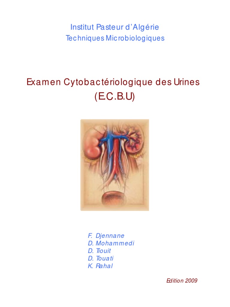 Ecbu | PDF | Urine | Infection urinaire