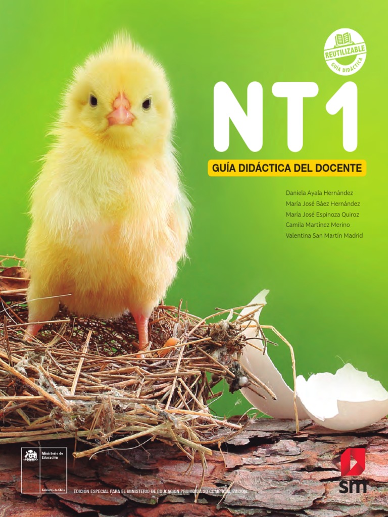 Libro Guia de Educación Parvularia PDF | PDF | Educación de la primera ...