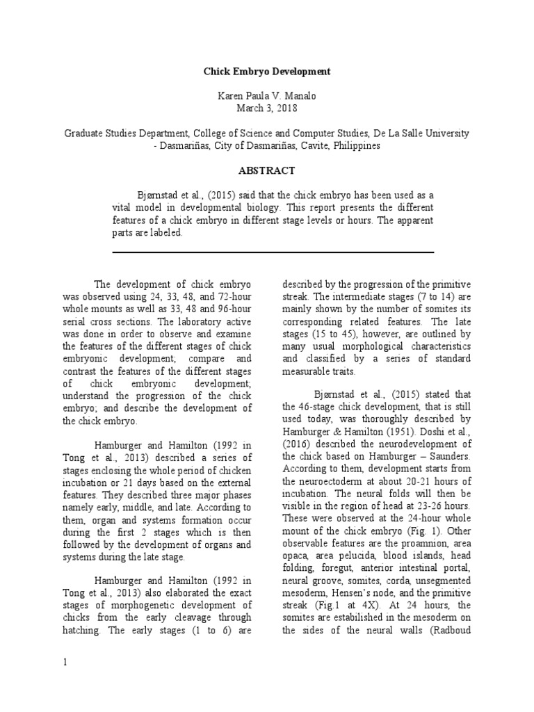 Chick Embryo Development | PDF | Developmental Biology | Zoology