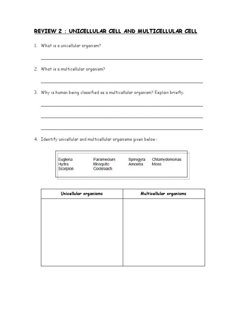 Unicellular vs. Multicellular Overview | PDF
