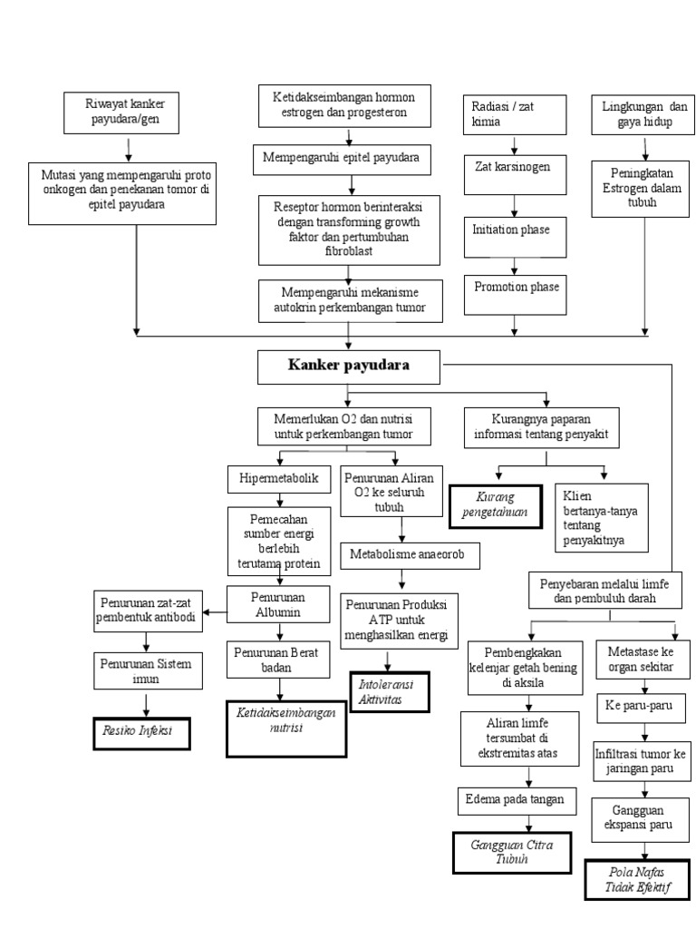 Woc Kanker Payudara | PDF