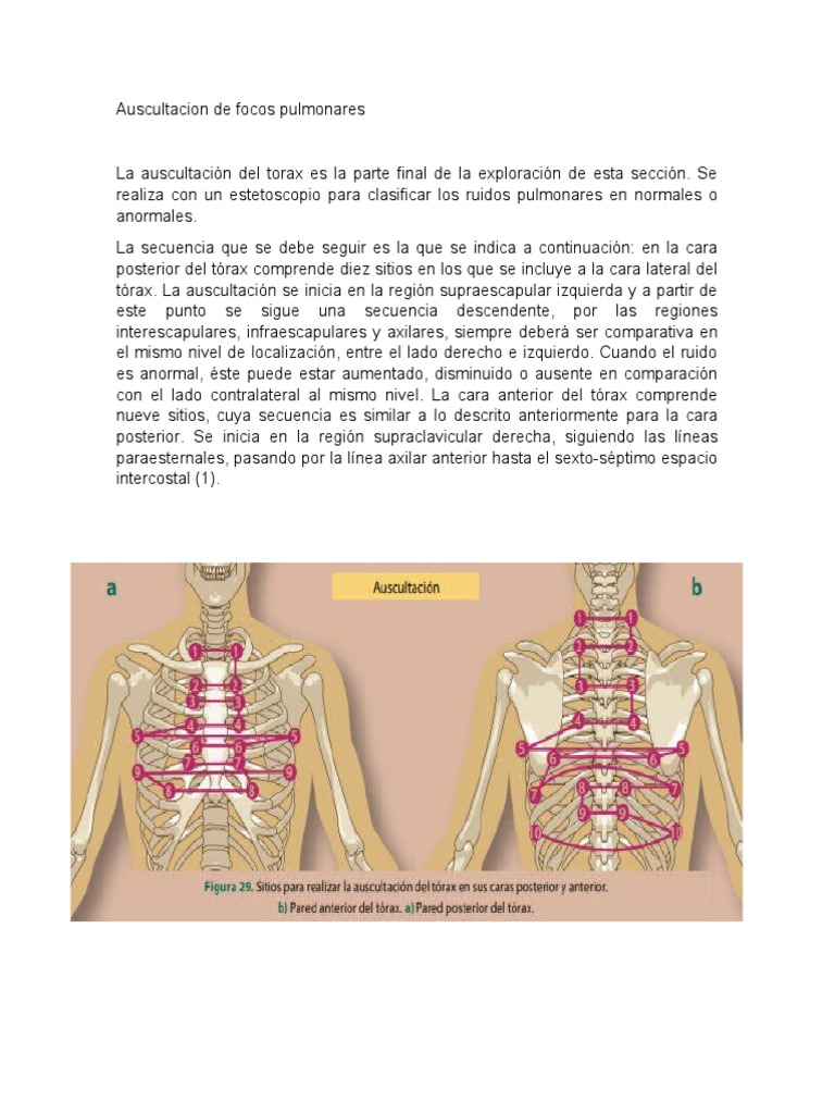 Auscultacion de Focos Pulmonares | PDF
